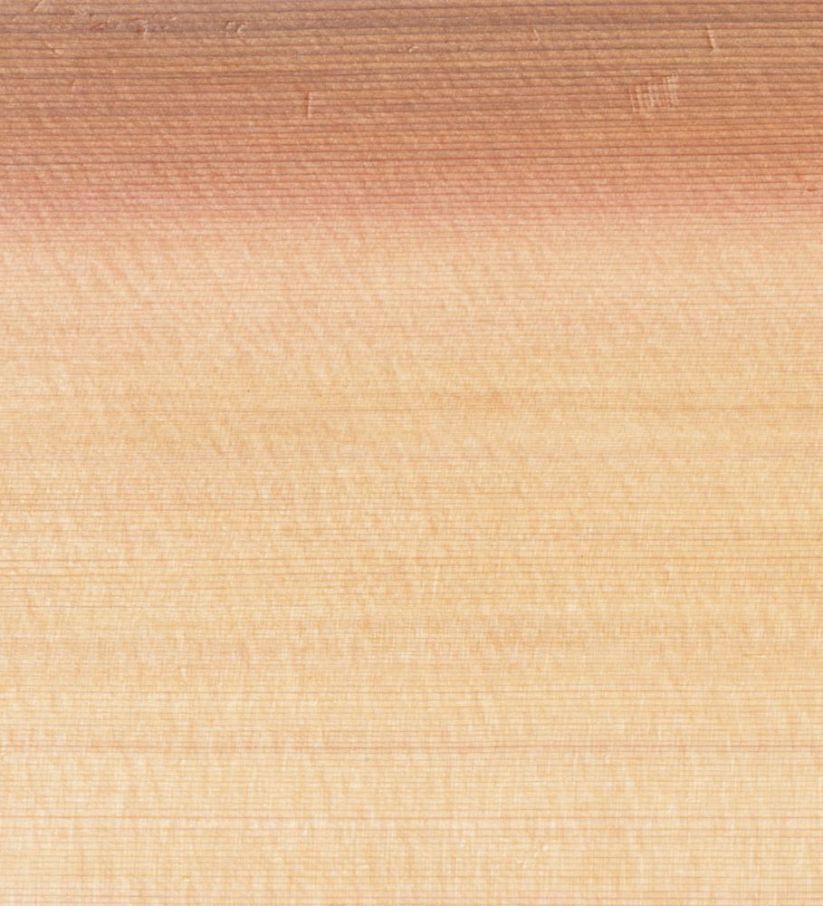 Red Cedar | Material-Archiv