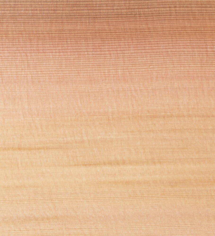 Red Cedar | Material-Archiv