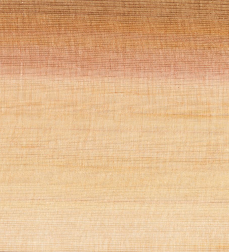 Red Cedar | Material-Archiv
