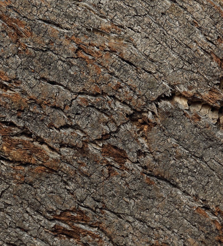 Kork | Material-Archiv