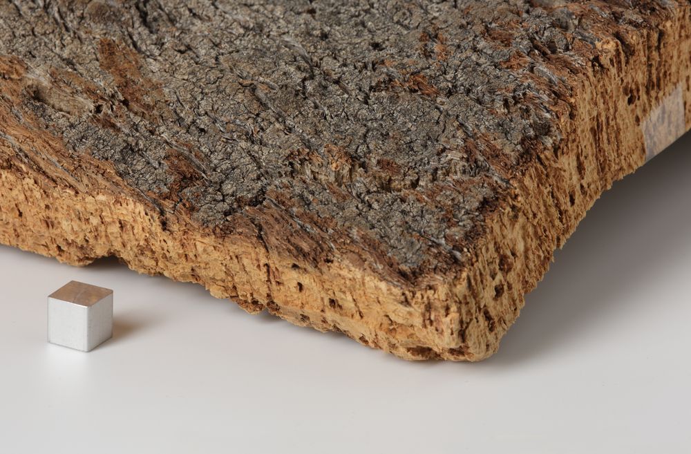 Kork | Material-Archiv