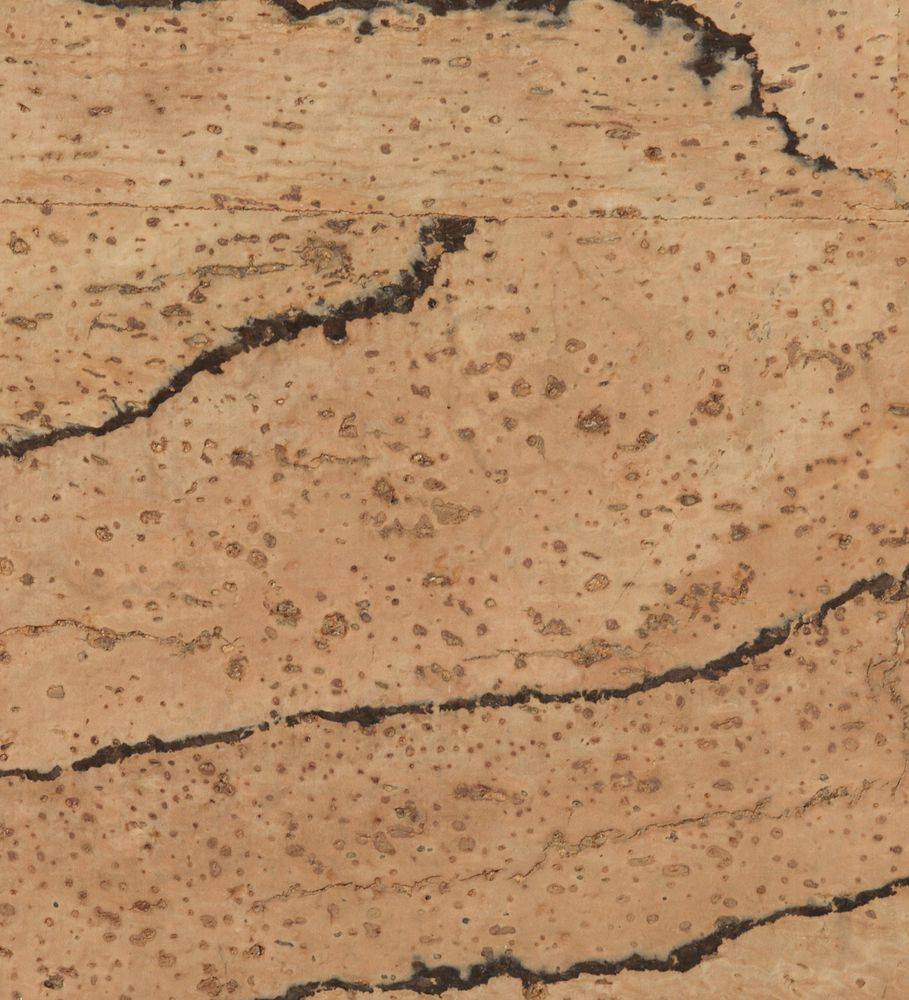 Kork | Material-Archiv