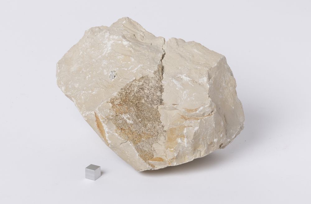 Mellikoner Kalkstein | Material-Archiv