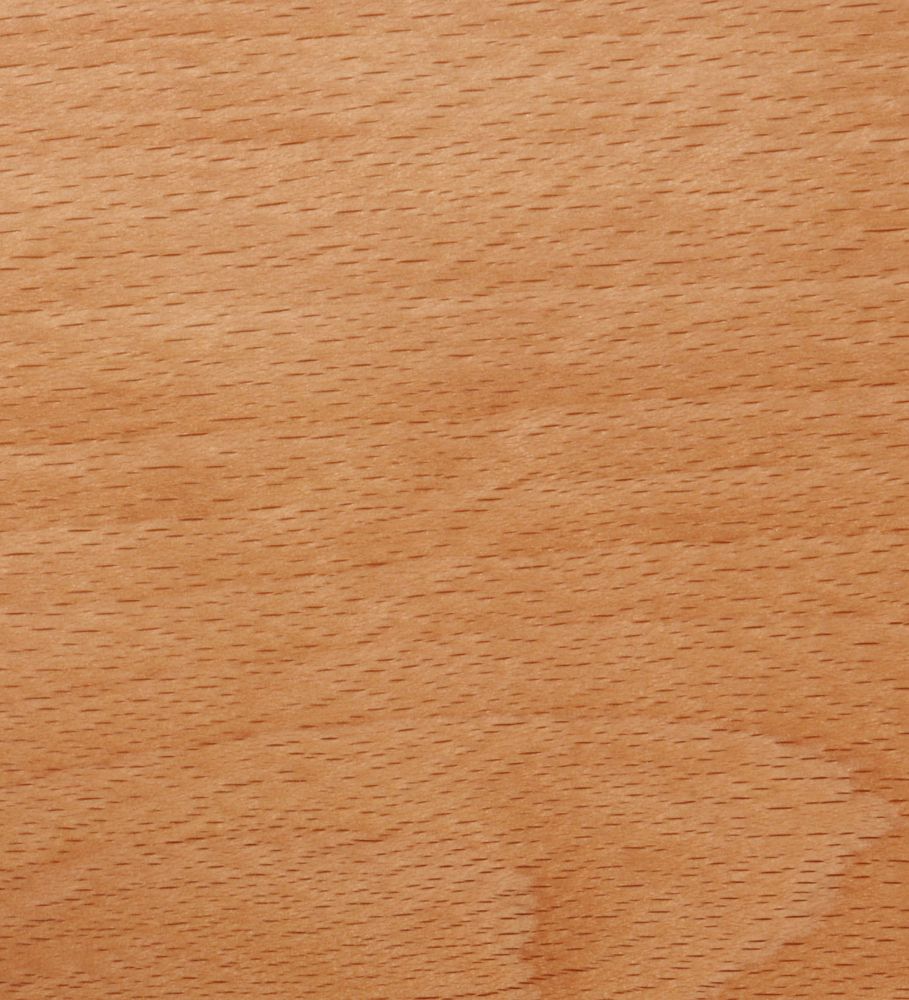 Buche | Material-Archiv
