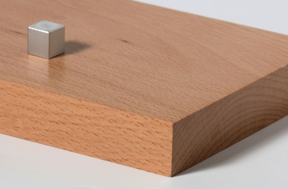 Buche | Material-Archiv