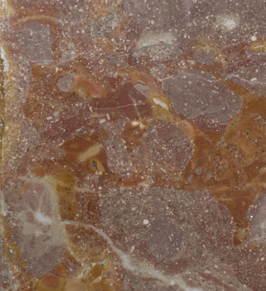 Arzo-Marmor | Material-Archiv