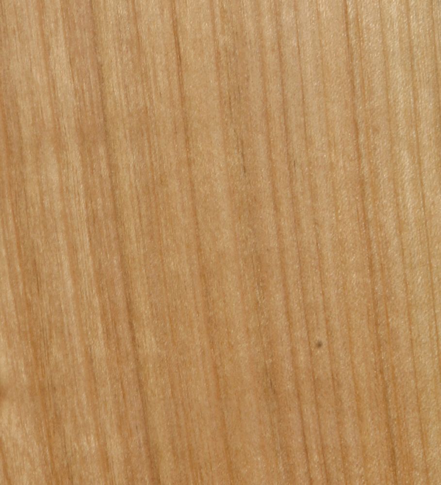 Kirschbaum | Material-Archiv