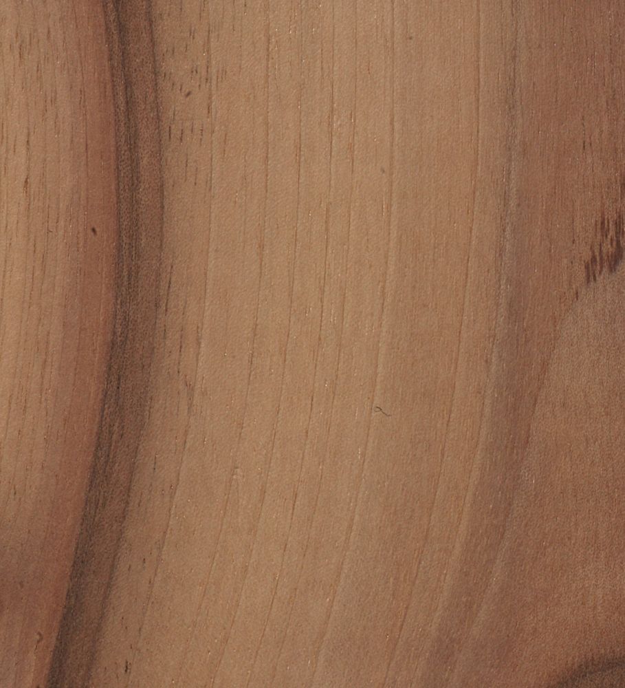 Nussbaum | Material-Archiv