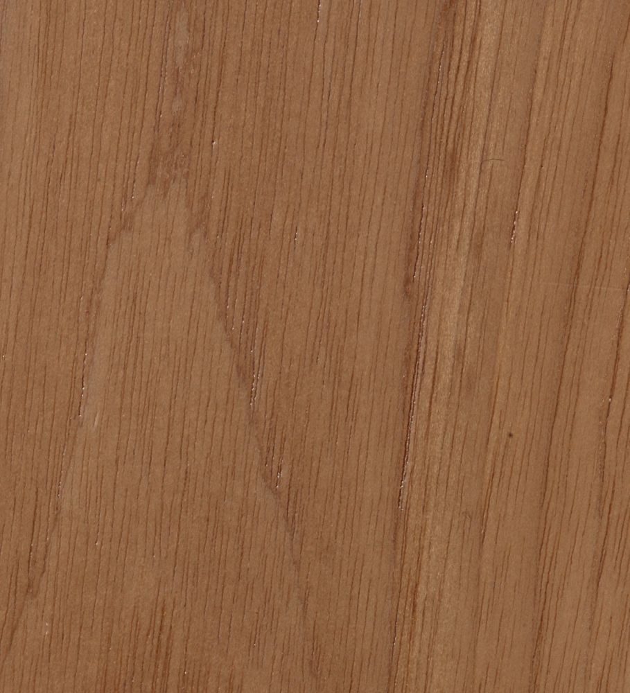 Nussbaum | Material-Archiv