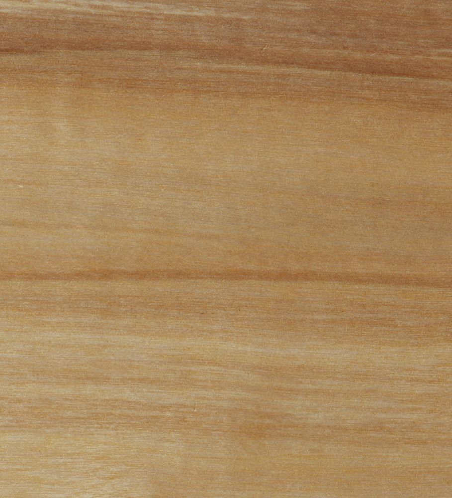 Pappel | Material-Archiv