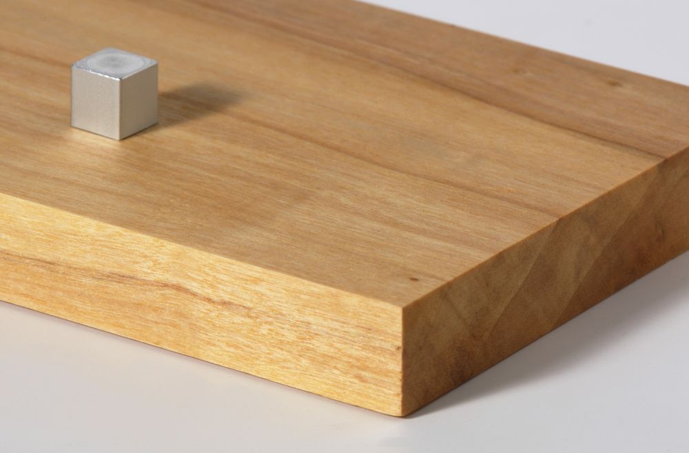 Pappel | Material-Archiv