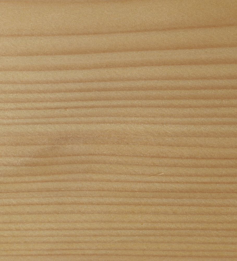 Fichte | Material-Archiv