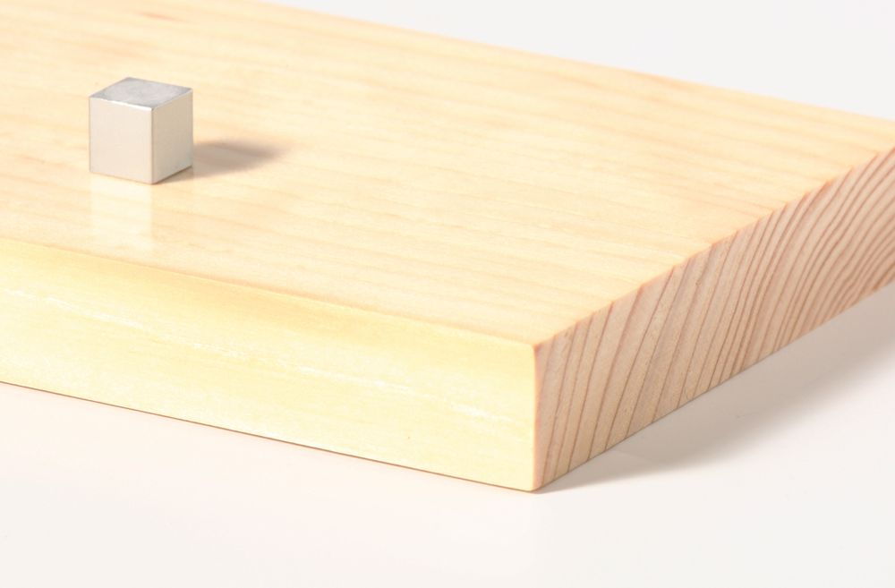 Tanne, Weisstanne | Material-Archiv