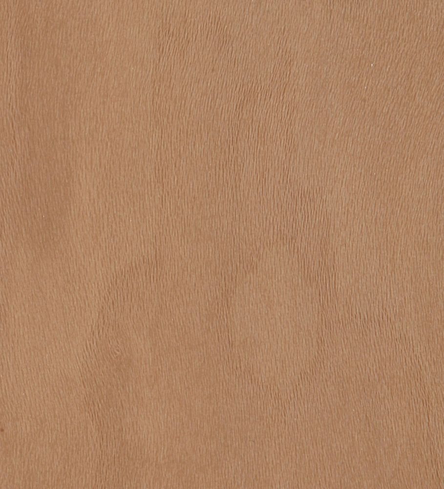 Platane | Material-Archiv