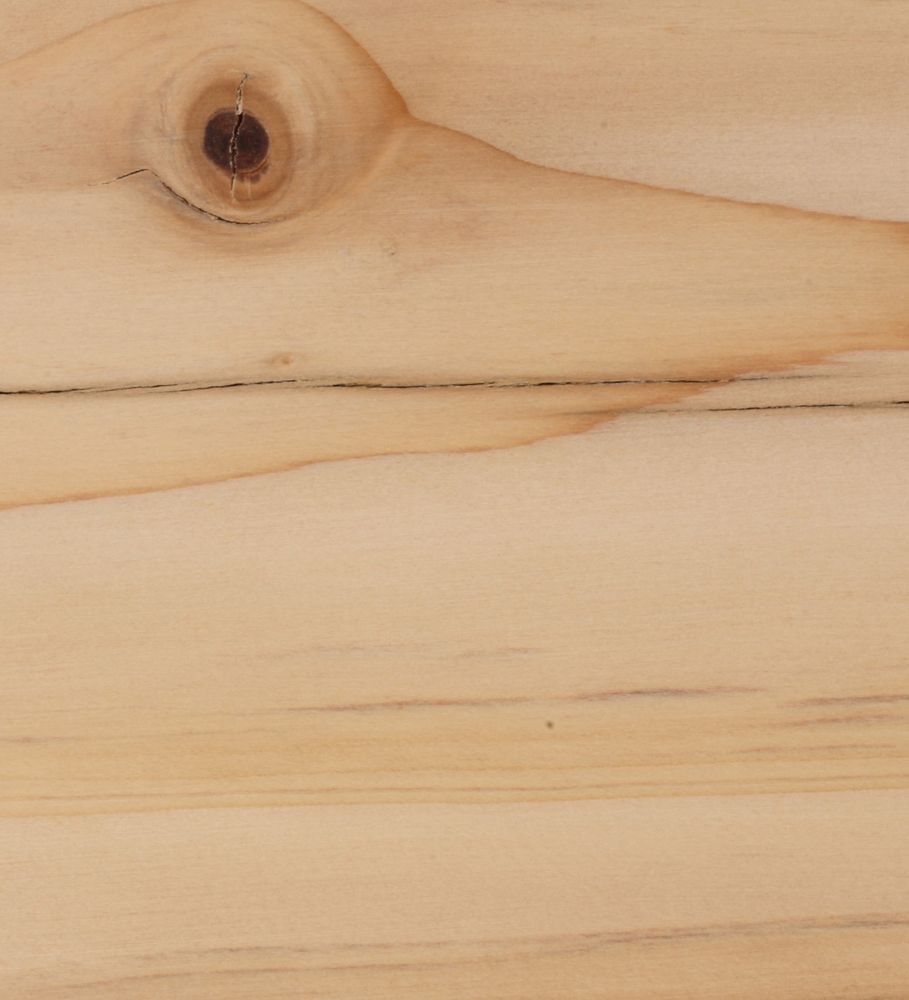 Erle | Material-Archiv